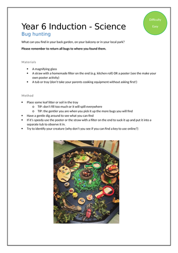 Science at Home - Bug Hunting | Teaching Resources