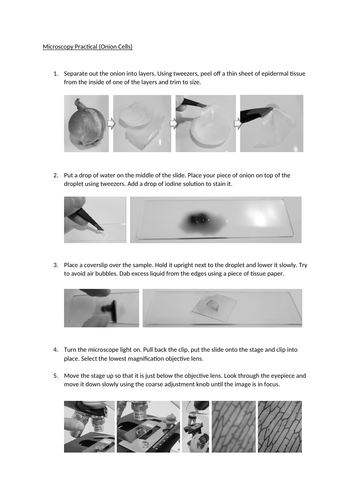 Microscopy Practical (Onion Cells) | Teaching Resources