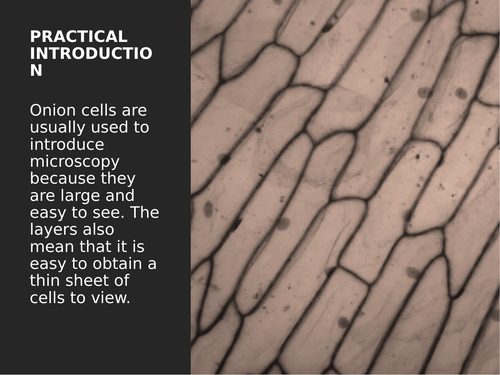 Microscopy Practical (Onion Cells) | Teaching Resources