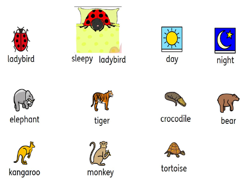 ''The very lazy ladybird'' in widgit software and activities for SEN ...