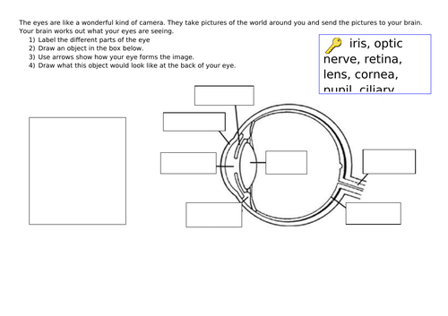 BEST Waves Lesson 2 - Pinhole Camera | Teaching Resources