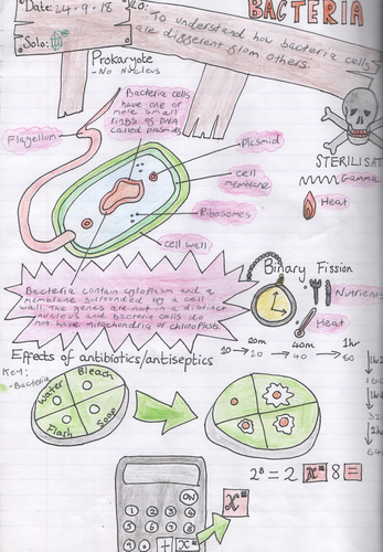 Bacteria Cells Science Doodle Note (Prokaryotic cells) | Teaching Resources