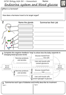 Endocrine system and Blood Glucose - B5 Homeostasis AQA GCSE Revision ...