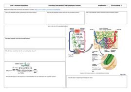 Applied Science Unit 8 Structure, Function and Disorders of the ...