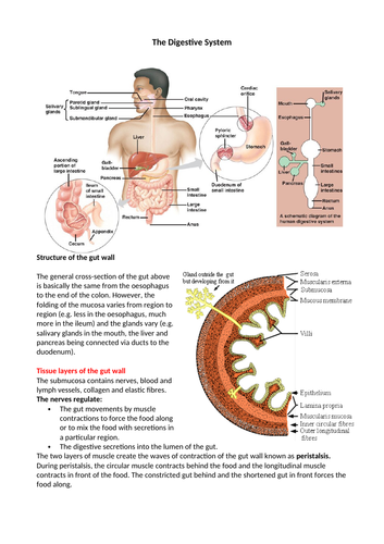 Applied Science Unit 8 Structure, Function and Disorders of the ...