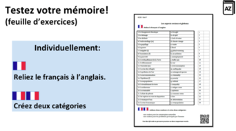 Global Issues- Unit 7- GCSE French | Teaching Resources