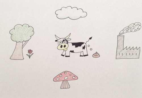 Lesson 5: The Carbon Cycle | Teaching Resources