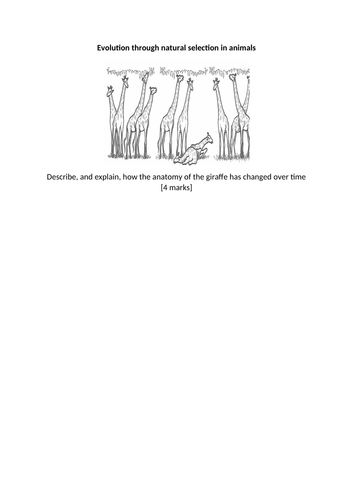 Natural selection (AQA A-level Biology) | Teaching Resources