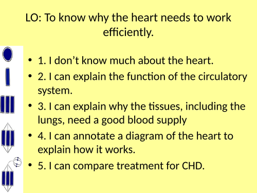 Heart and CHD Science Doodle Notes (coronary heart disease) | Teaching ...