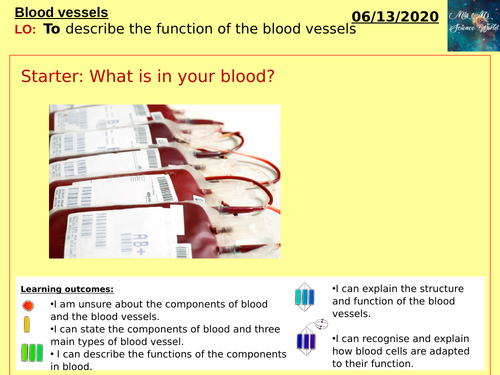 Blood and Blood Vessels Science Doodle Notes | Teaching Resources