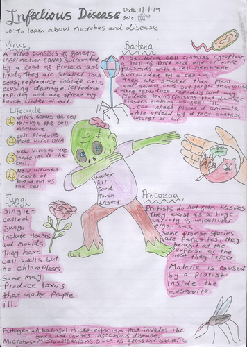 Infectious Disease Science Doodle Notes (pathogens) | Teaching Resources