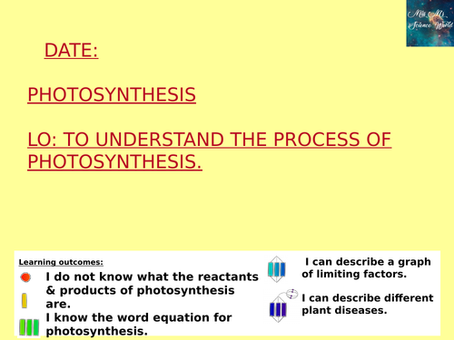 Photosynthesis & Plant Disease Science Doodle Notes | Teaching Resources