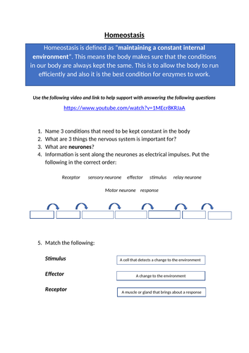 Grade 1-3 Homeostasis worksheets | Teaching Resources