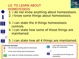 Homeostasis Science Doodle Notes | Teaching Resources