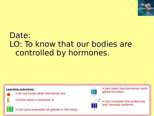 Endocrine System Science Doodle Notes (hormones) | Teaching Resources