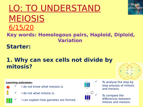 Meiosis Science Doodle Notes | Teaching Resources