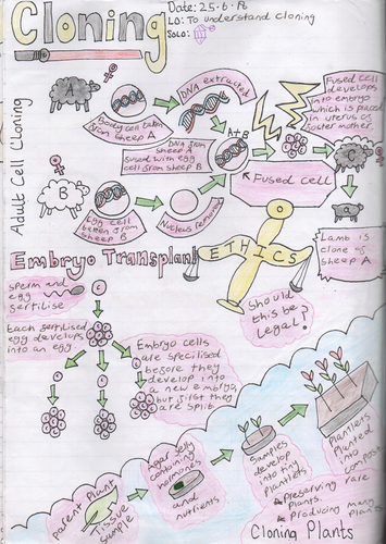 Cloning Science Doodle Notes | Teaching Resources