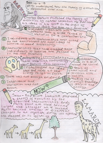 Theories of Evolution Science Doodle Notes (Lamarck & Darwin ...