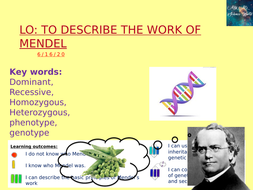 Gregor Mendel Inheritance Science Doodle Notes | Teaching Resources
