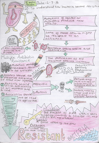 Resistant Bacteria Science Doodle Notes | Teaching Resources