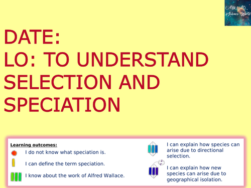 Speciation Science Doodle Notes | Teaching Resources