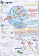 Ecosystems, Biotic & Abiotic Factors Science Doodle Notes | Teaching ...