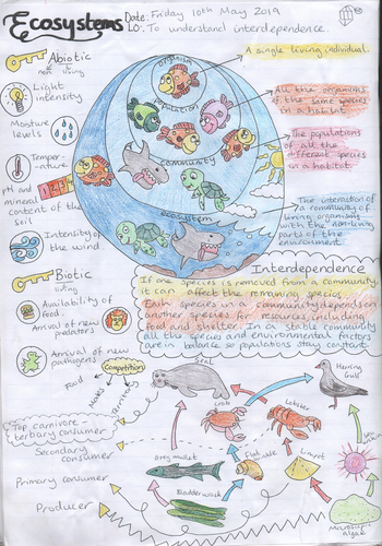 Ecosystems, Biotic & Abiotic Factors Science Doodle Notes | Teaching ...