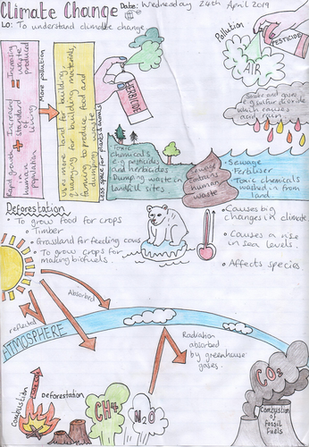 Climate Change & Land Management Science Doodle Notes | Teaching Resources