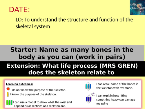Skeleton & Joints Science Doodle Notes | Teaching Resources