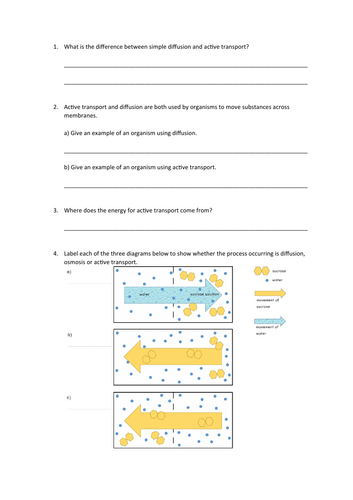 Active Transport Supplementary Slides and Worksheet (GCSE Biology AQA ...