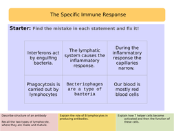 The Immune Response | Teaching Resources