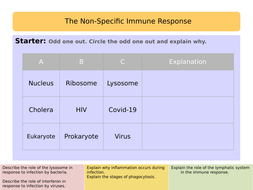 The Immune Response | Teaching Resources
