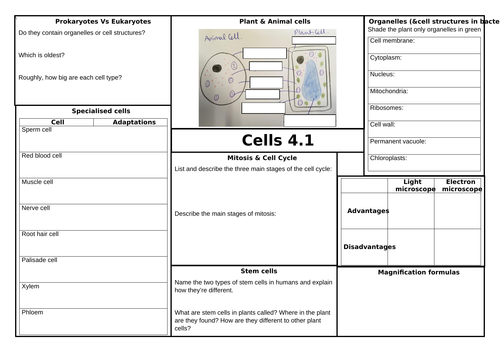 Cells, Microscopy, Stem cells and Mitosis Revision Sheet & Powerpoint ...