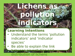 Lichens as Pollution Indicators | Teaching Resources