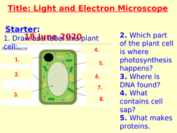 Light vs Electron Microscopes AQA Biology Lesson | Teaching Resources