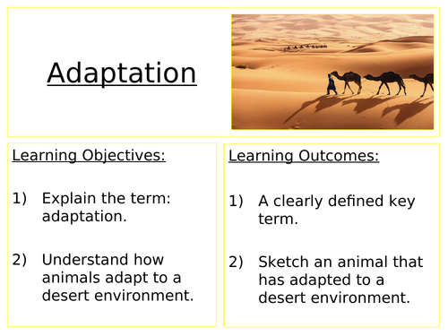 Deserts - Animal Adaptation | Teaching Resources