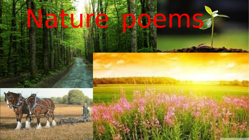 Nature poetry anthology resource bundle | Teaching Resources