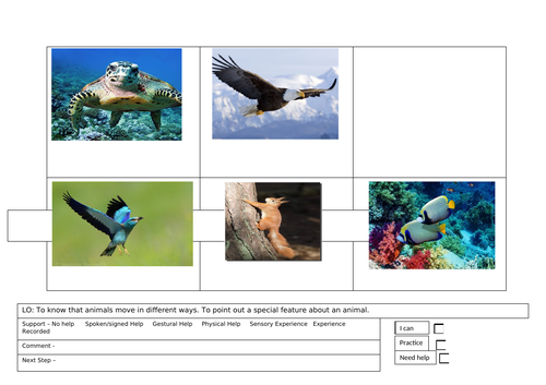 Lesson Plan Science how animals move Special Needs SEN Teaching Primary ...