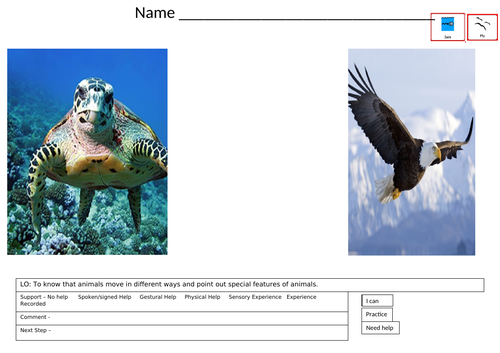 Lesson Plan Science how animals move Special Needs SEN Teaching Primary ...