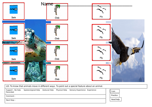 Lesson Plan Science how animals move Special Needs SEN Teaching Primary ...