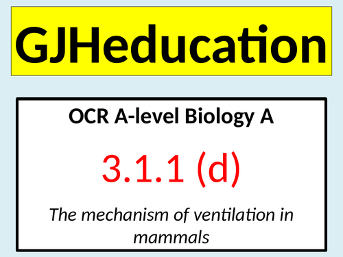 Mechanism of ventilation (OCR A-level Biology) | Teaching Resources
