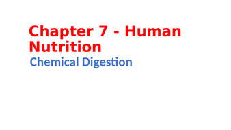IGCSE Biology Chapter 7 - Human Nutrition | Teaching Resources