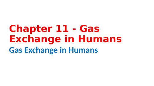 IGCSE Biology Chapter 11 - Gas Exchange in Humans | Teaching Resources IGCSE Biology Chapter 11 - Gas Exchange in Humans | Teaching Resources