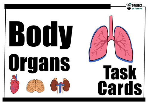 Body Organs Task Cards | Teaching Resources