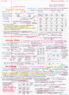 OCR A Level Biology Patterns of Inheritance Revision Poster | Teaching ...