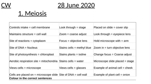 Meiosis | Teaching Resources