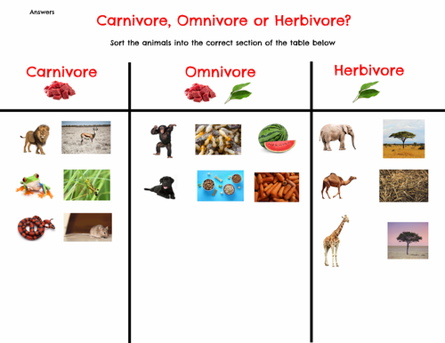 Early Years/KS1 Dear Zoo - Carnivores, Omnivores or Herbivores ...