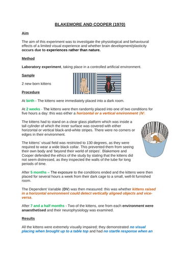 Core studies (A LEVEL) -OCR Psychology | Teaching Resources