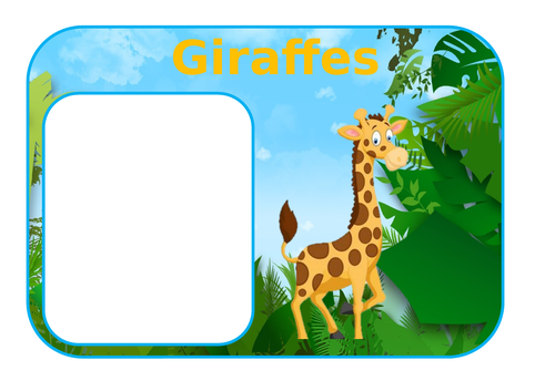 Animals Table Group Display | Teaching Resources