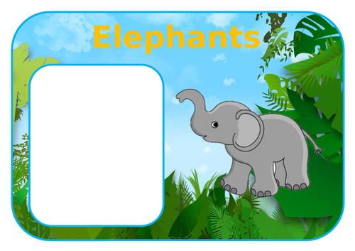 Animals Table Group Display | Teaching Resources